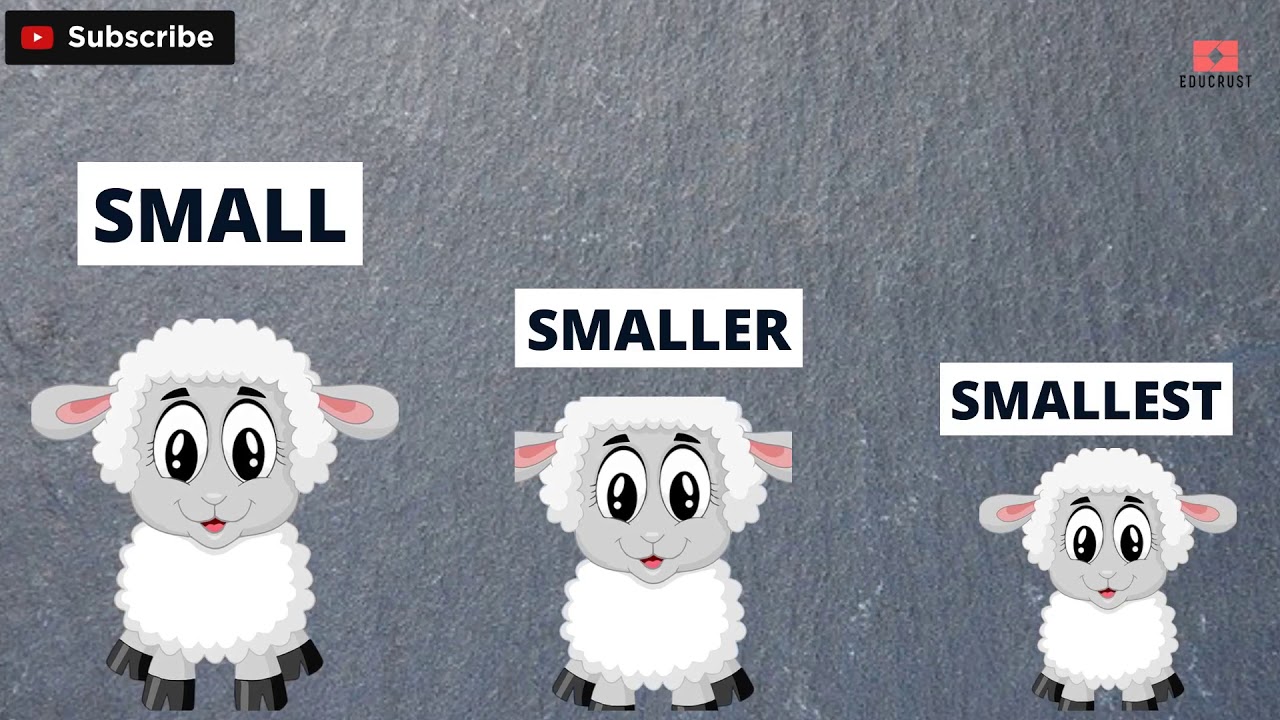 Small Diesel Trucks 2024: Your Comprehensive Guide to Mighty Mini ...